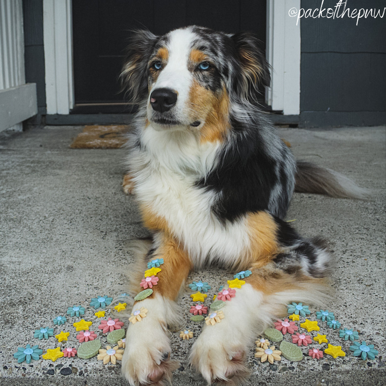 Mitten Variety Treats LLC